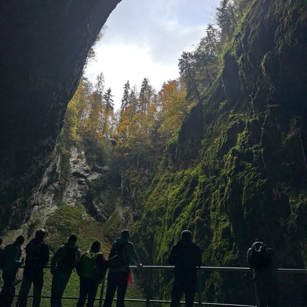 Let's visit the Punkva Caves and Macocha Abyss! - Discovering Prague & CZ